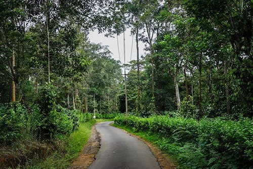 Journey of discovering Indian Cuisine | Explore Routes